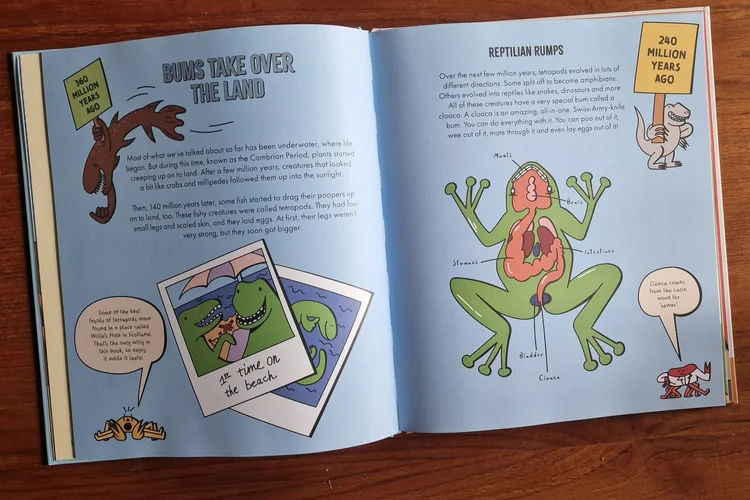 A Natural History of Bums — Crab Museum