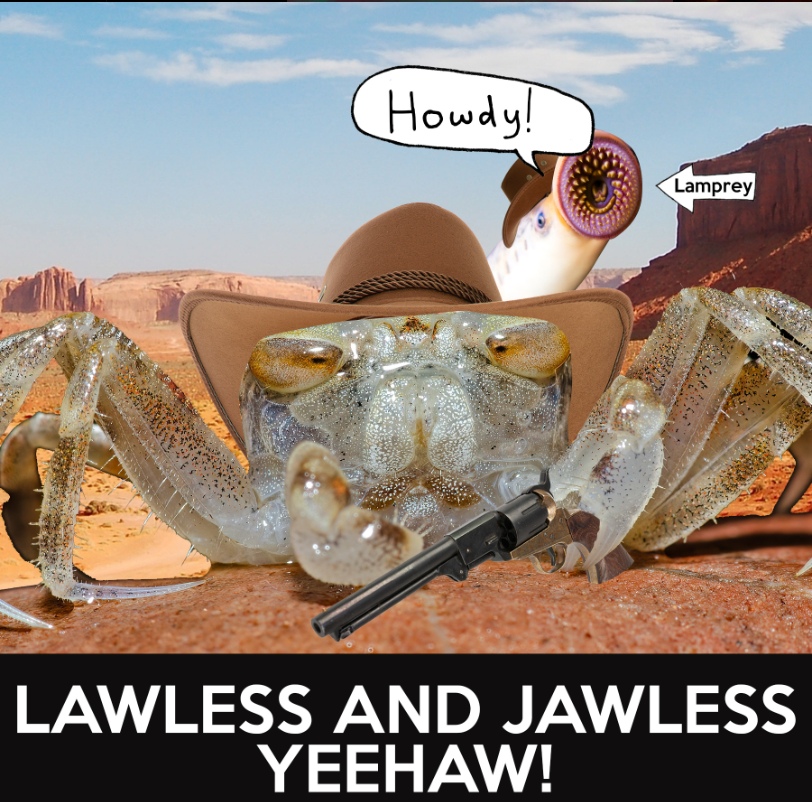 On Crab Mouths — Crab Museum