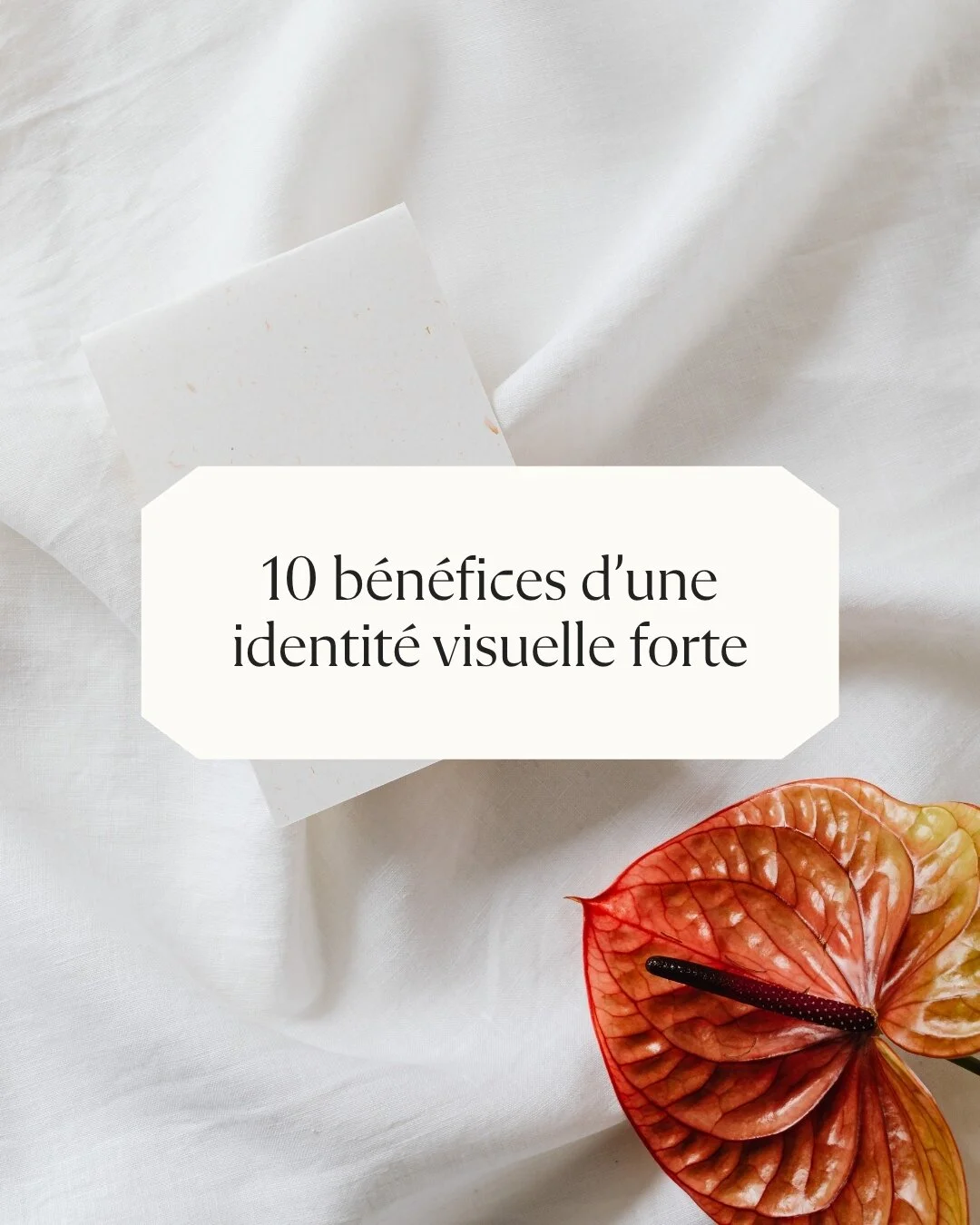 Planche d’ambiance : comment réaliser la vôtre ? — Studio Novembre