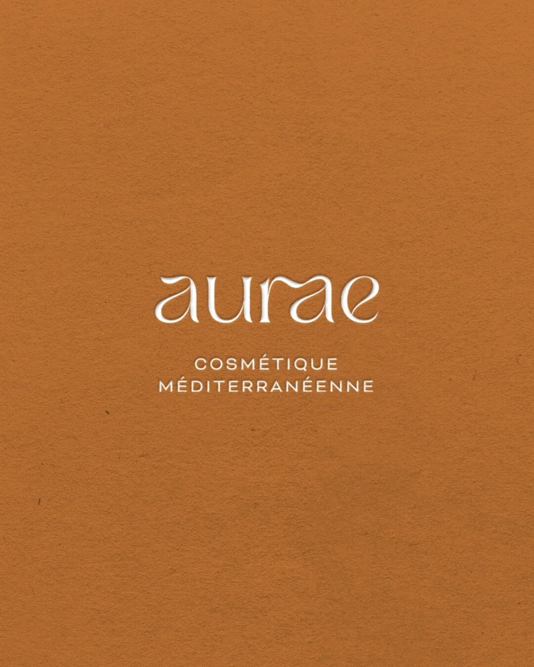 Le Studio — Studio Novembre