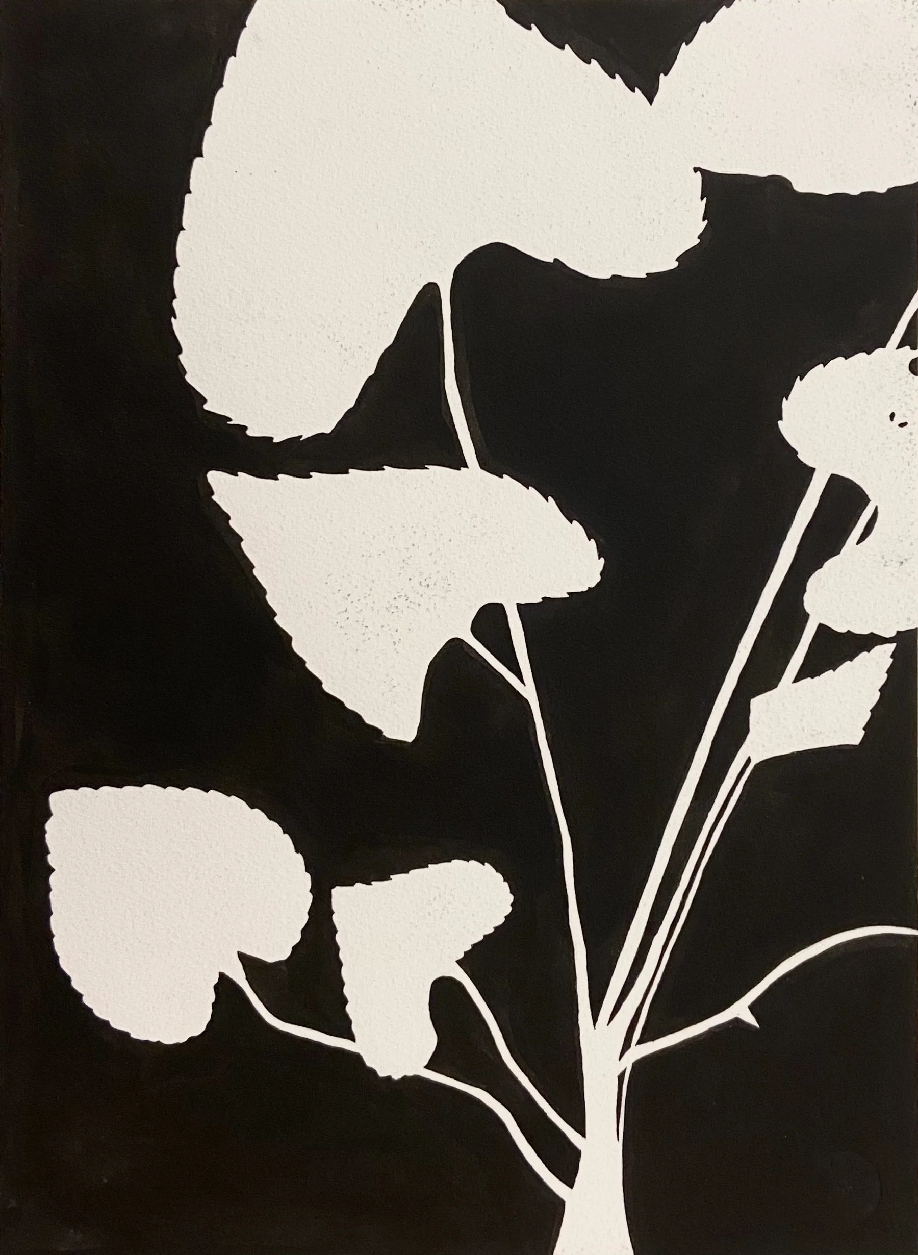 Negative Space Drawing Plants