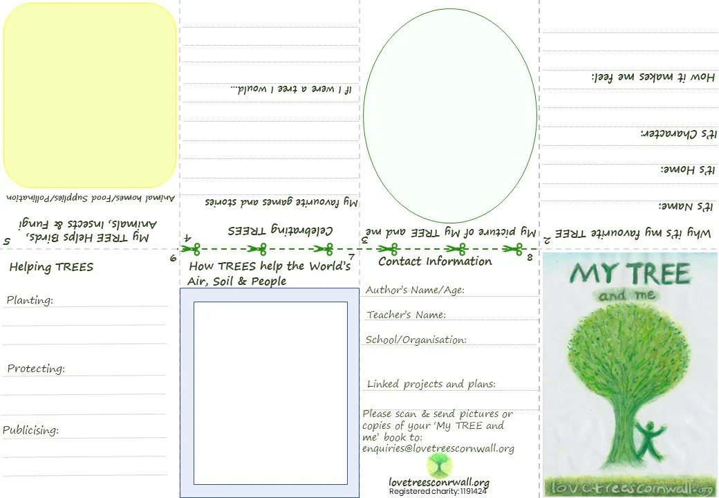 my tree and me — Love Trees Cornwall