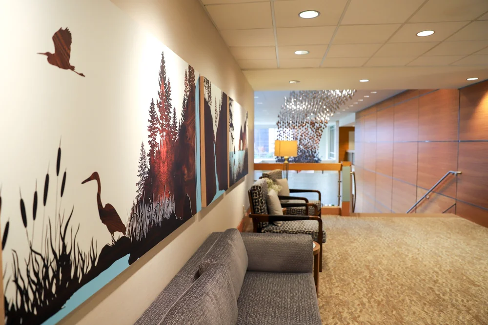 Senior Living Art — Skyline Retirement — GRAND IMAGE
