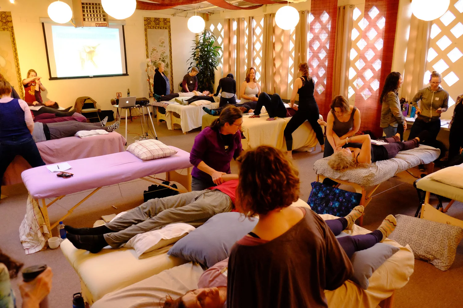 Trainings with Dr. Hendrickson — Hendrickson Method