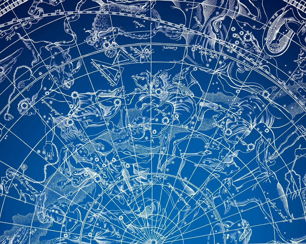 Schedule — Constellation Natural Medicine