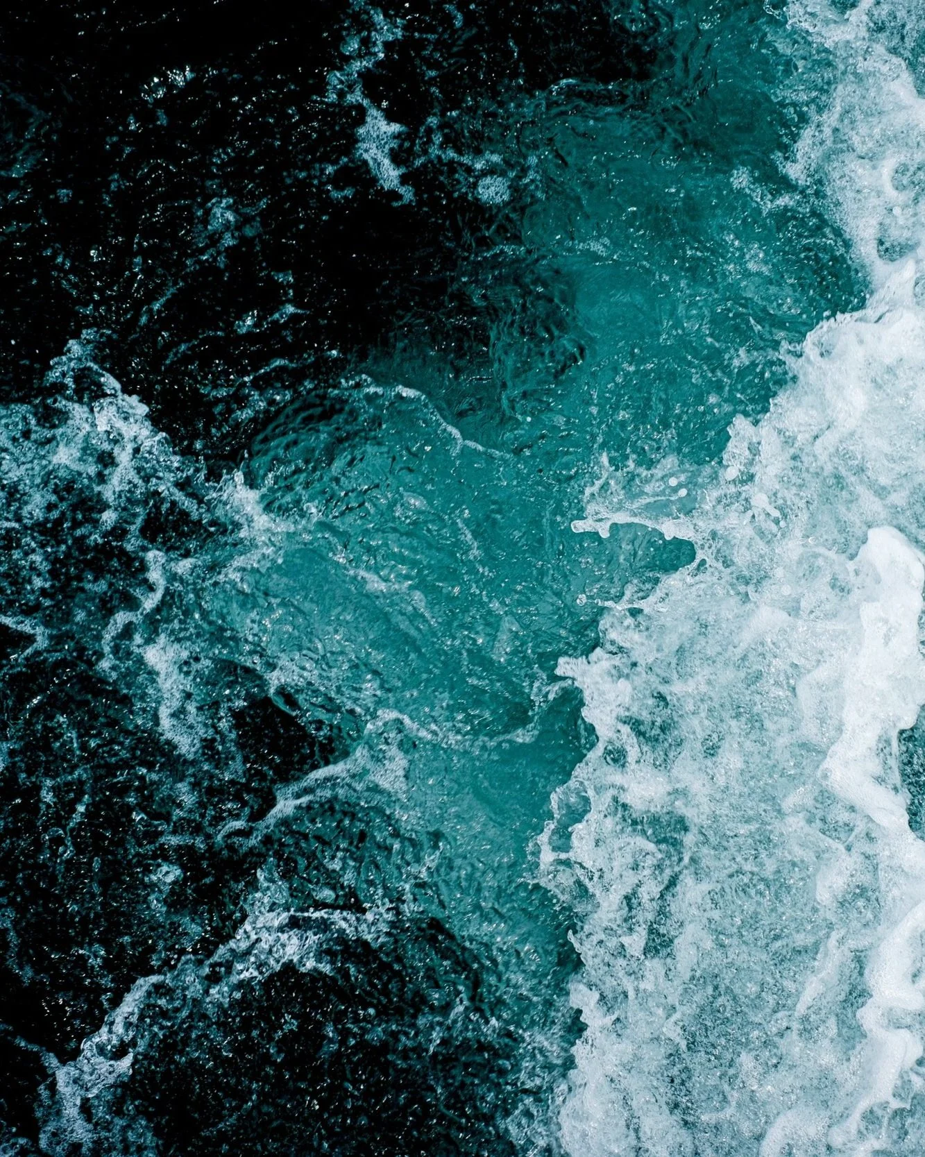 About 1 — Minnesota Homeopathic Association