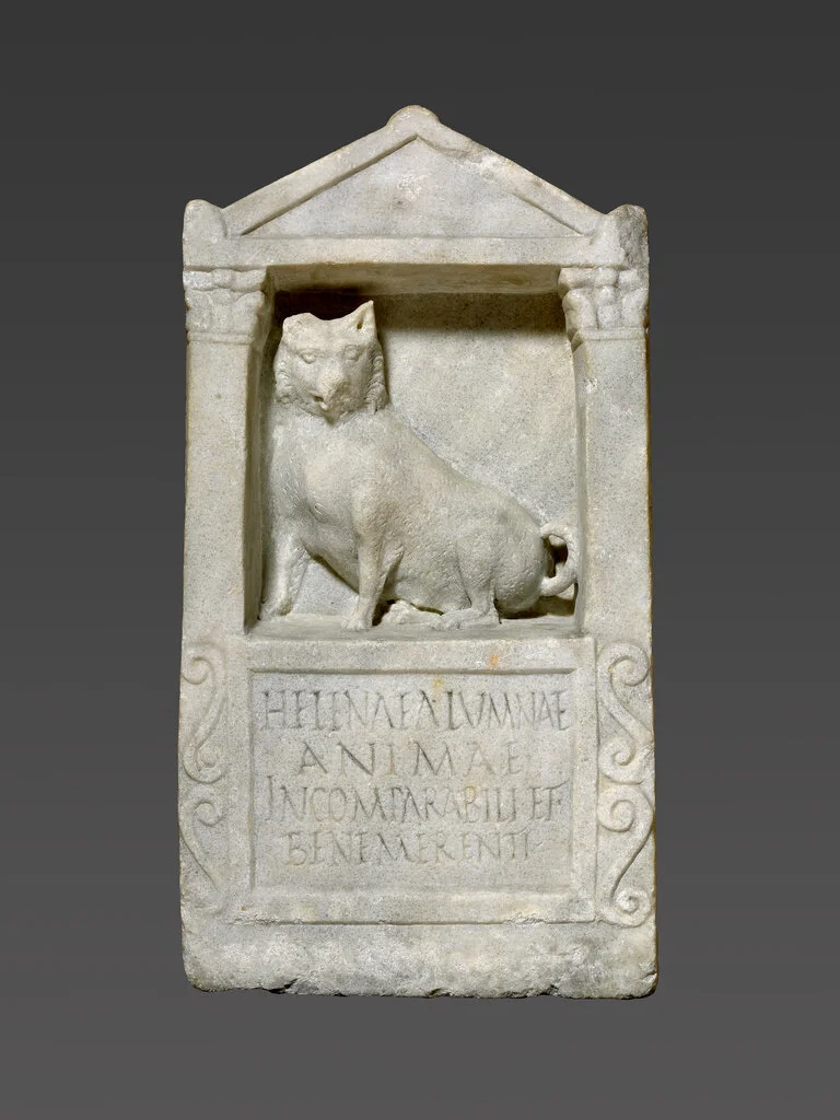 Dogs — Archaeology Now