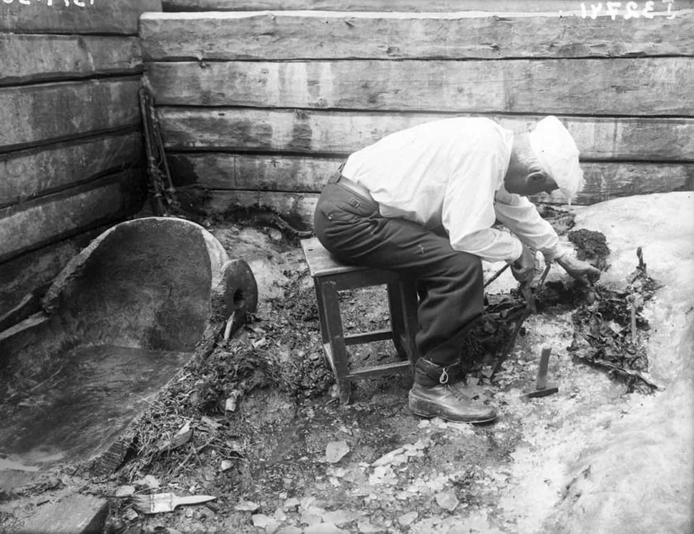 Scythians, Ice Mummies, and Burial Mounds — Archaeology Now
