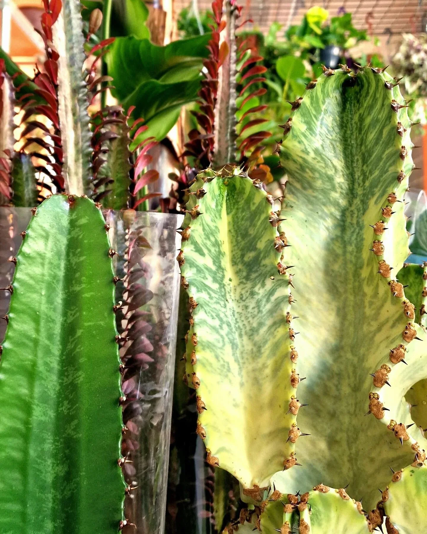 hackney wick — Art — Repot Hackney Wick