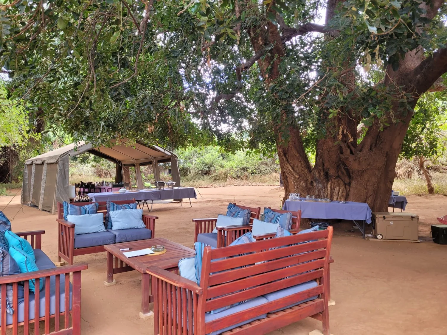 Pafuri — Ecofluency