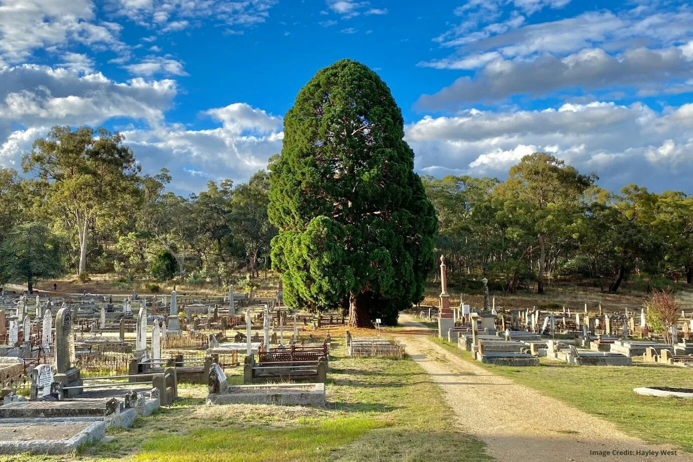 CASTLEMAINE CEMETERY