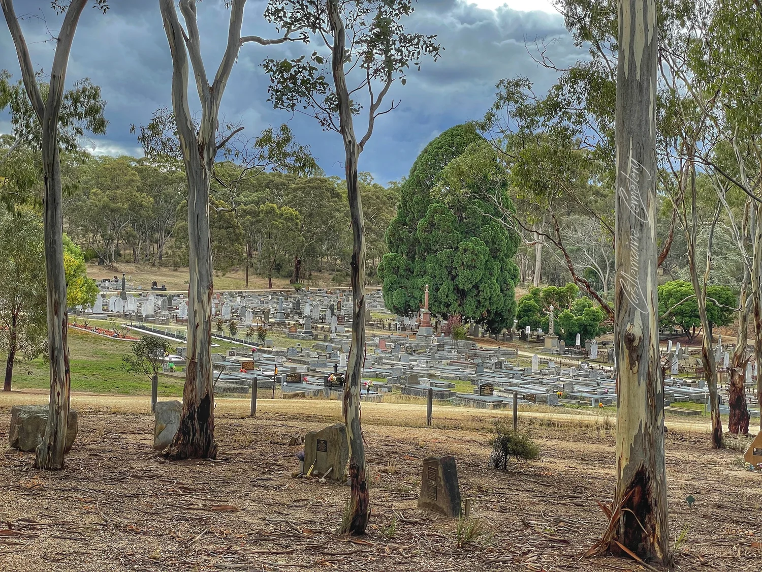 Contact — HISTORICAL CASTLEMAINE CEMETERY