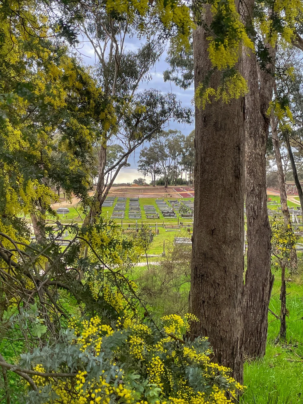 Acknowledgement of Country — HISTORICAL CASTLEMAINE CEMETERY