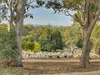 Services — CASTLEMAINE CEMETERY