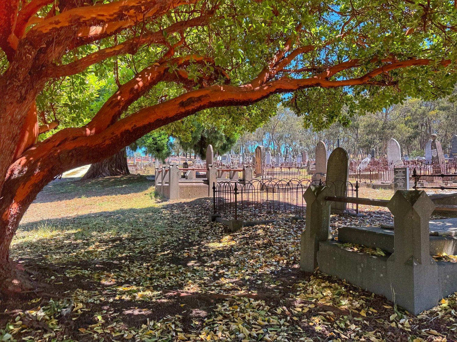 CASTLEMAINE CEMETERY