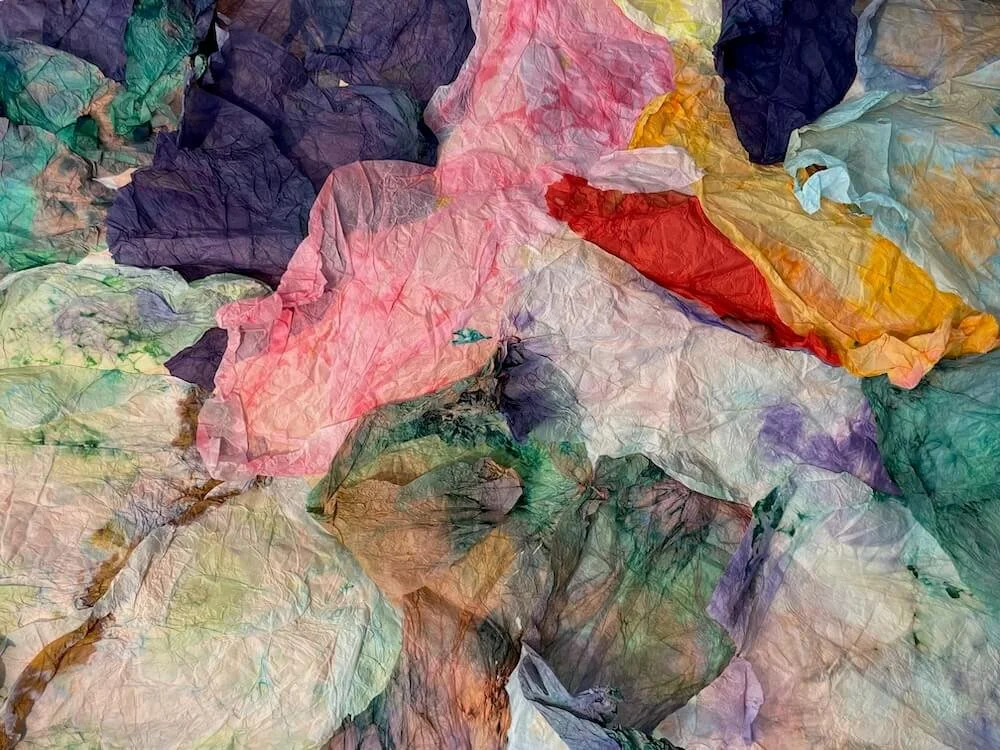 Exhibit: Land-learning [2024] — Artists in Residence in Everglades