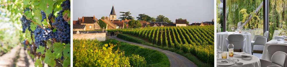 Chef Tour France — Lutece