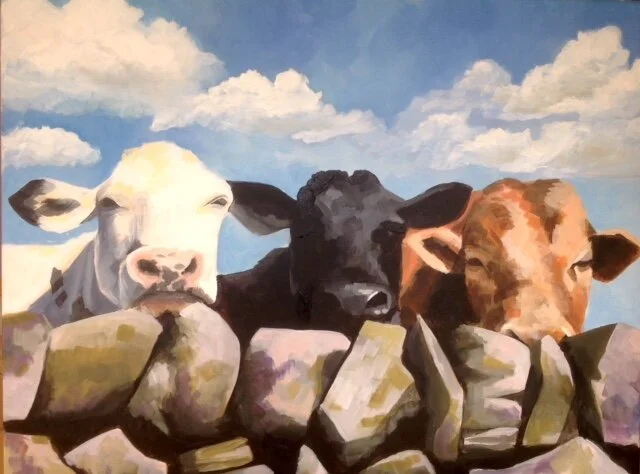 'Yes?' Cows at Settle — Karen Winship Art