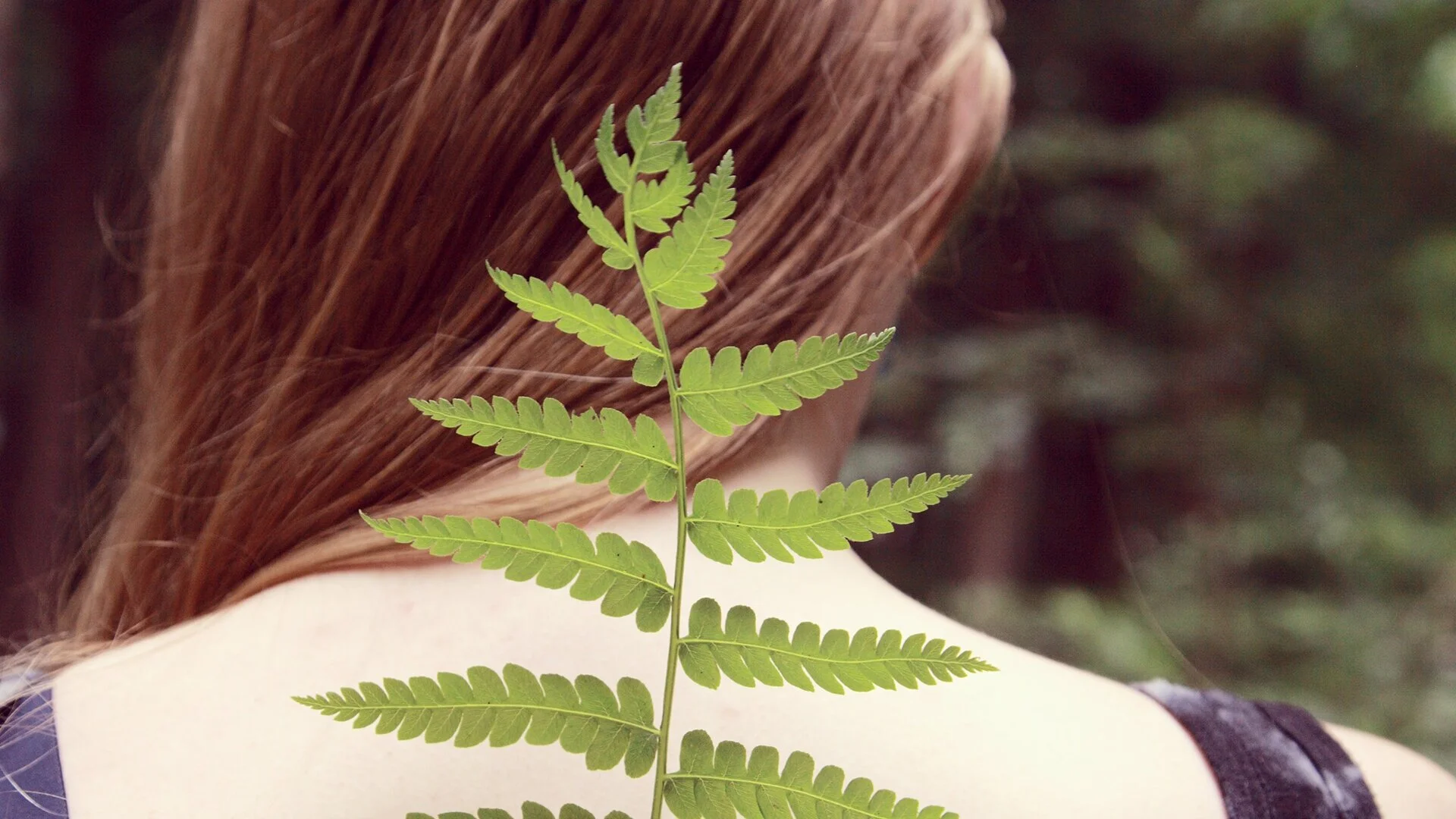 About Us — Shield Chiropractic