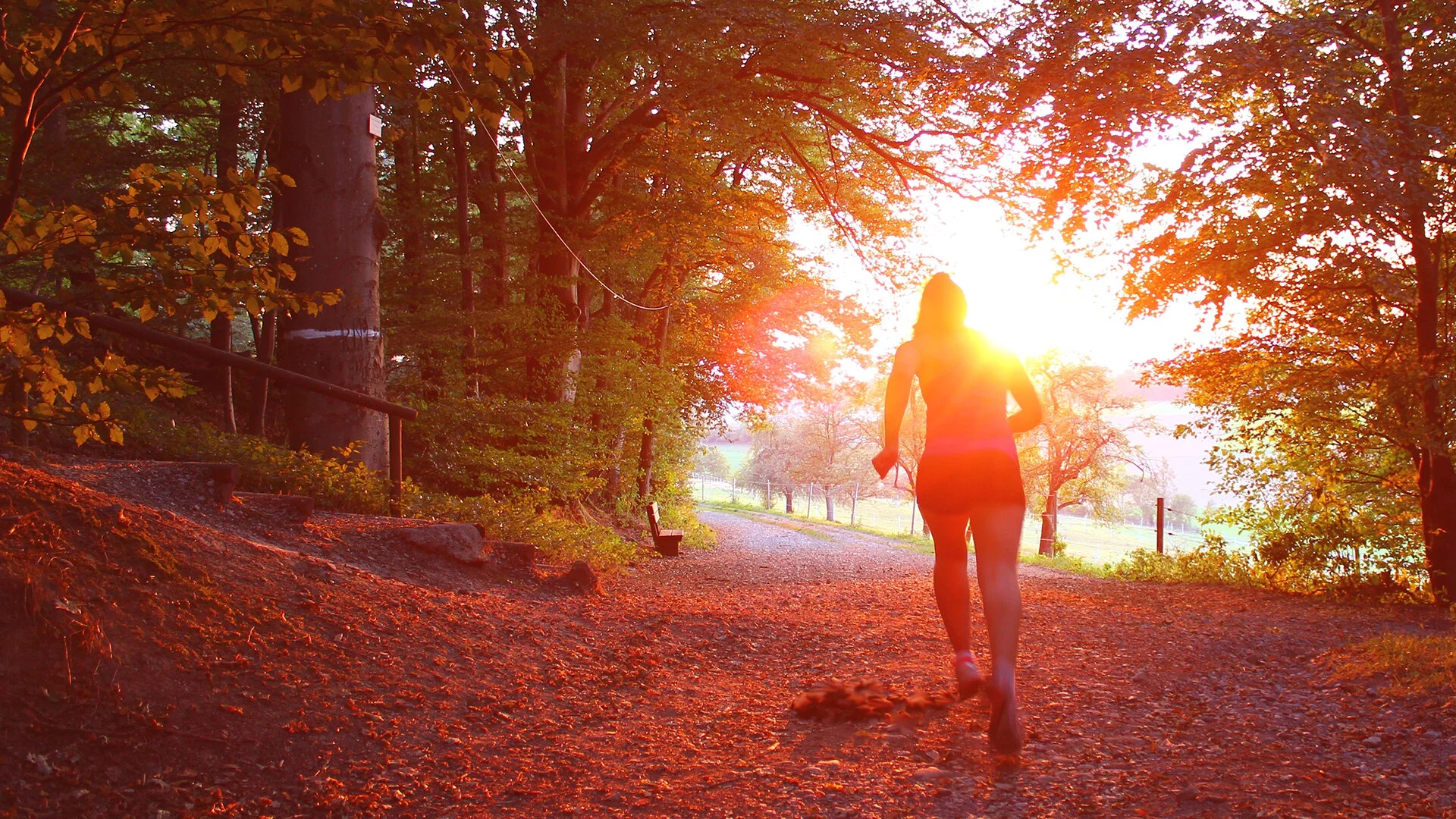 About Us — Shield Chiropractic