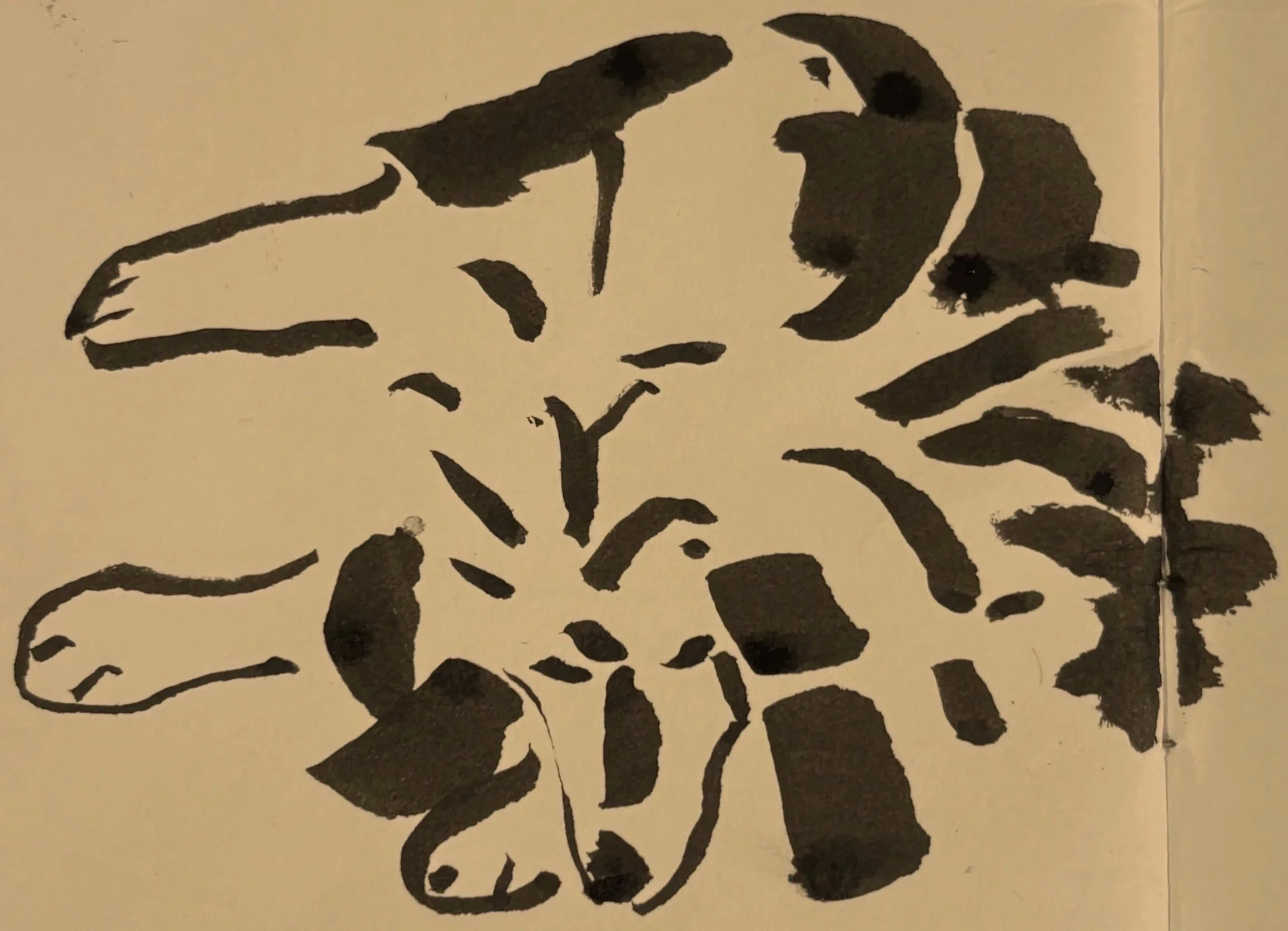 The New Year Doesn’t Need Fixing | Richard Weller Homeopathy — Richard ...