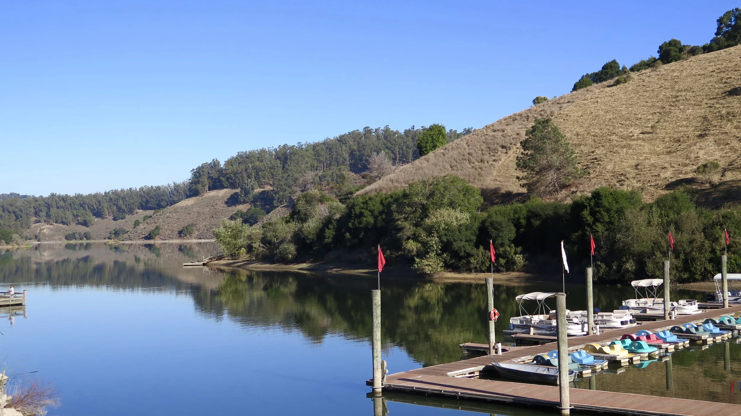 Lake Chabot | Recreation in SF Bay Area, California