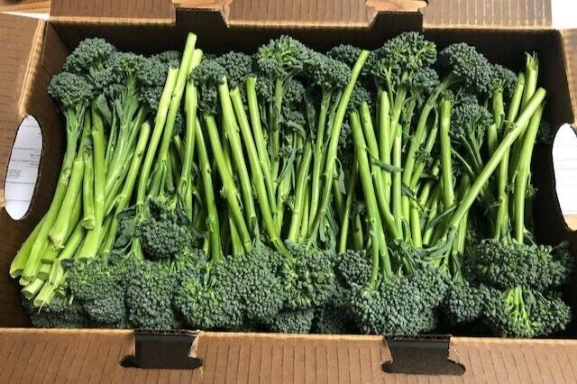 Services 1 — Access Organics