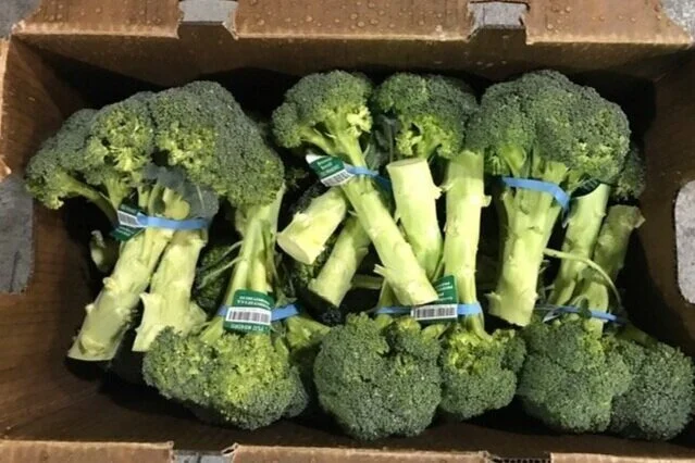 Services 1 — Access Organics