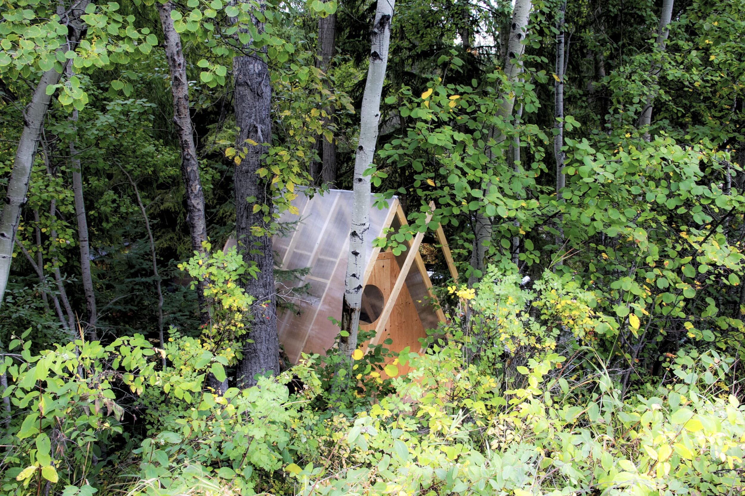 Bird Hut — Studio North