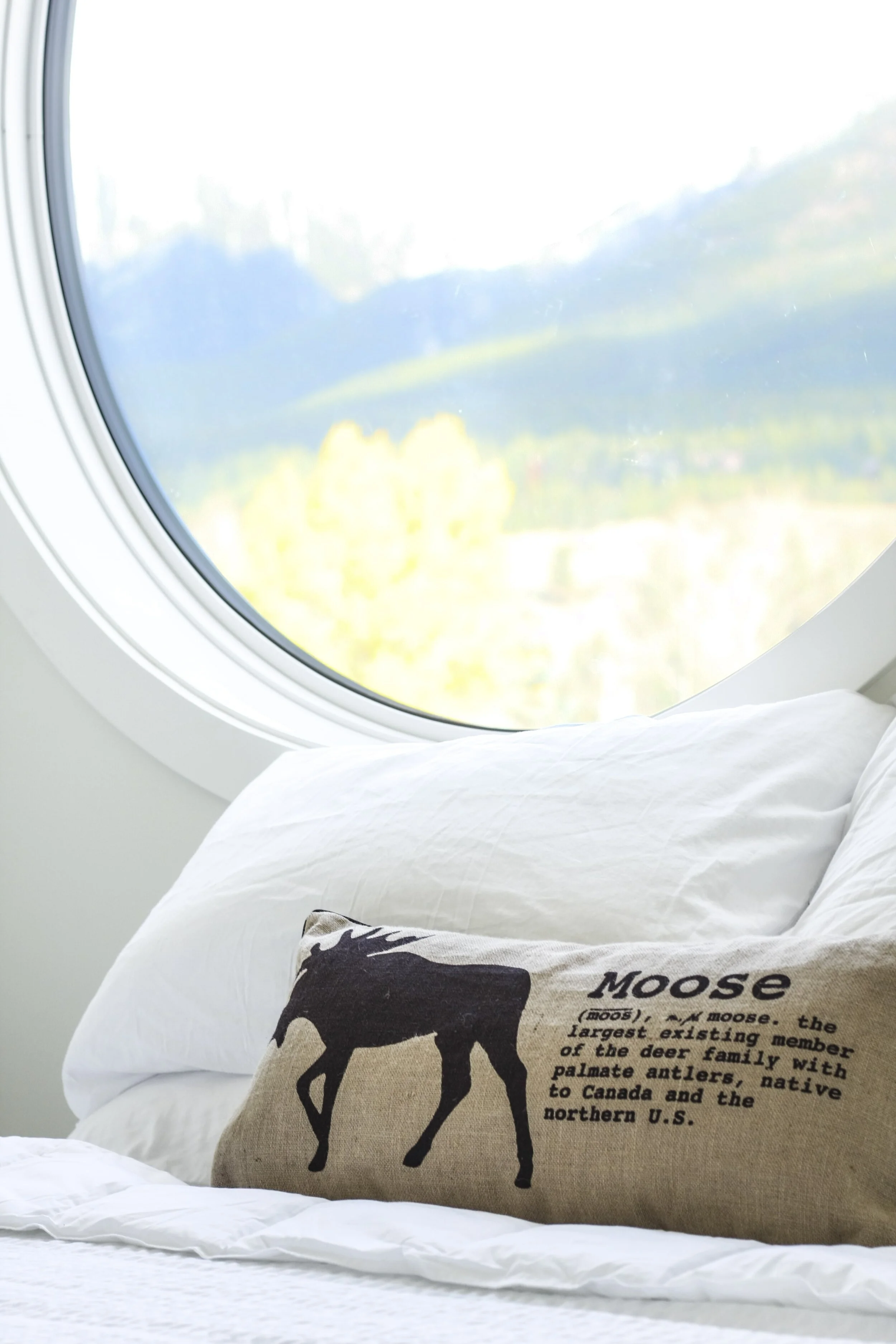 Base Camp Hotel | Explore Canmore Adventures Now — Studio North