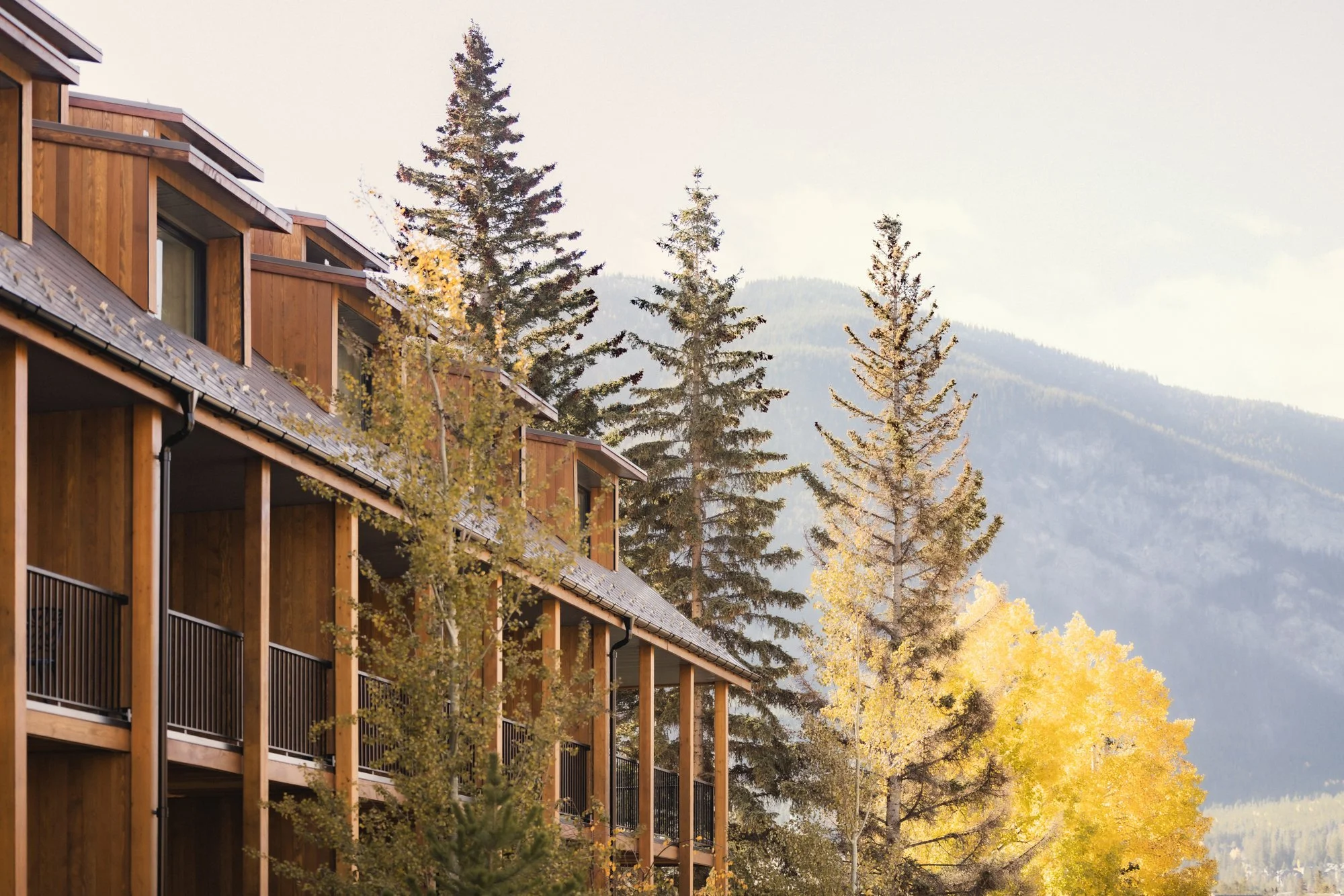 Damon | Discover Inspired Architecture — Studio North