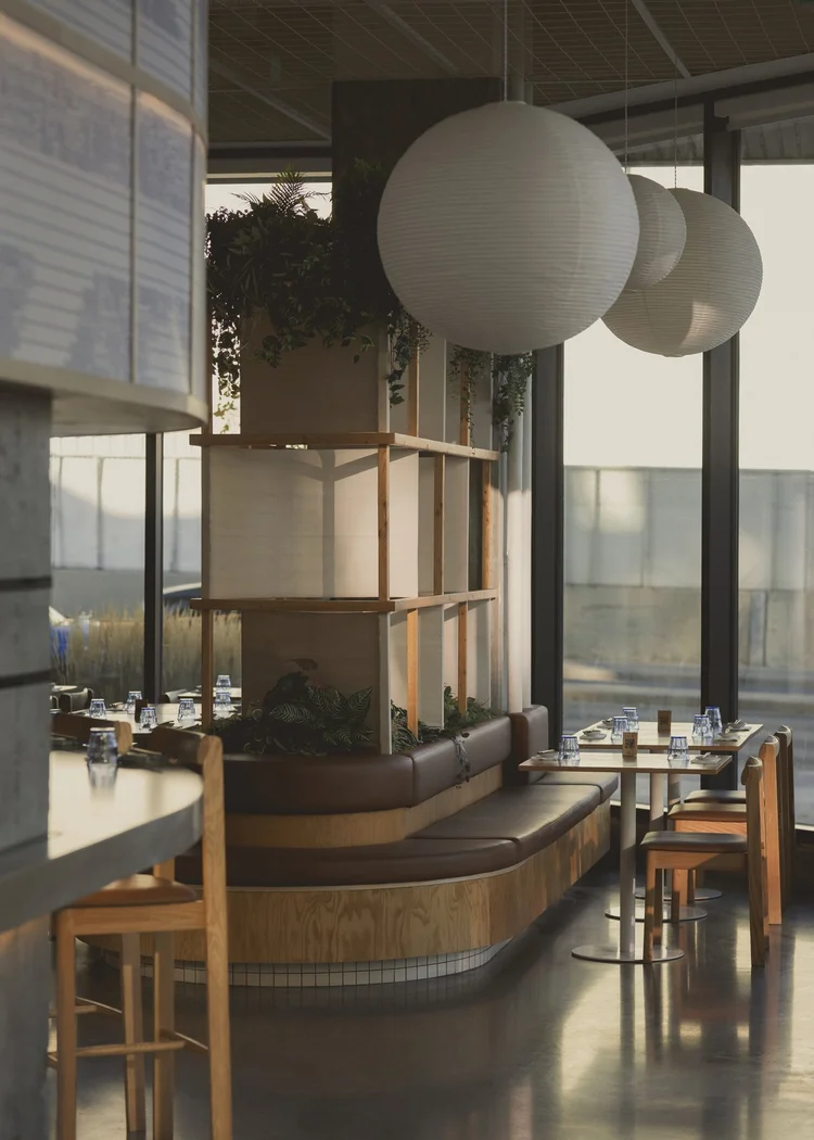 Ryuko Restaurant — Studio North