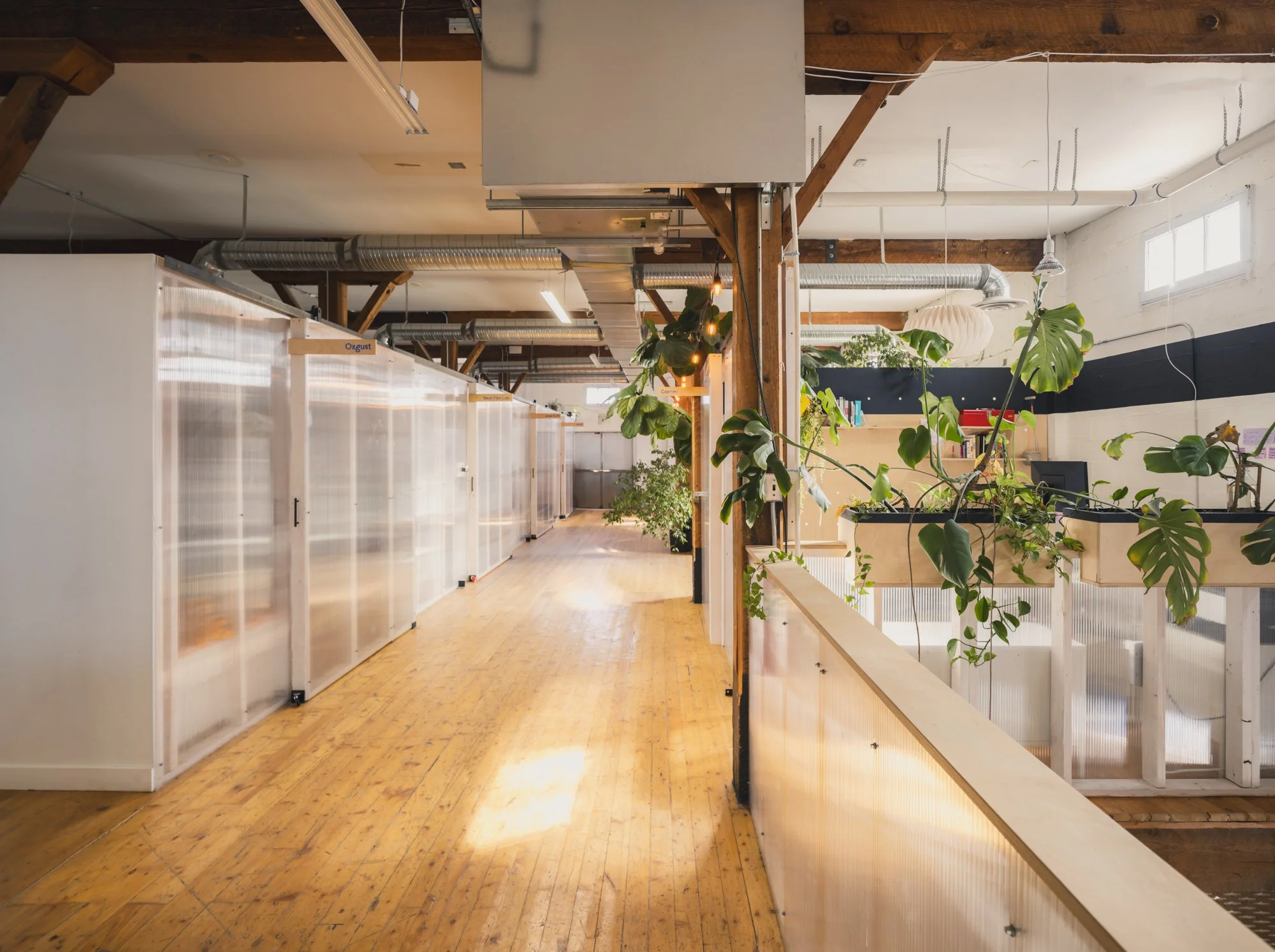 Work With Us | Collaborate on Meaningful Design — Studio North