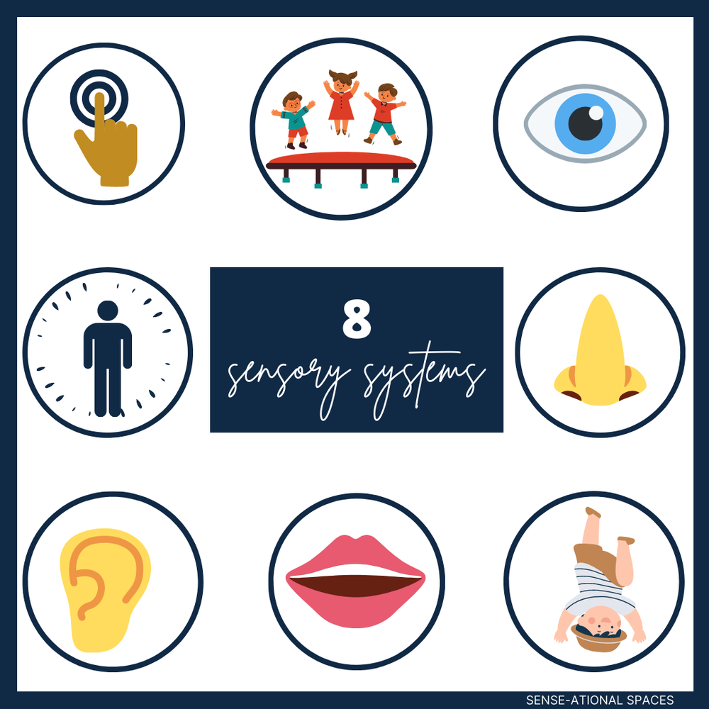 Sensory Systems — ShopNOW — SENSE-ational Spaces