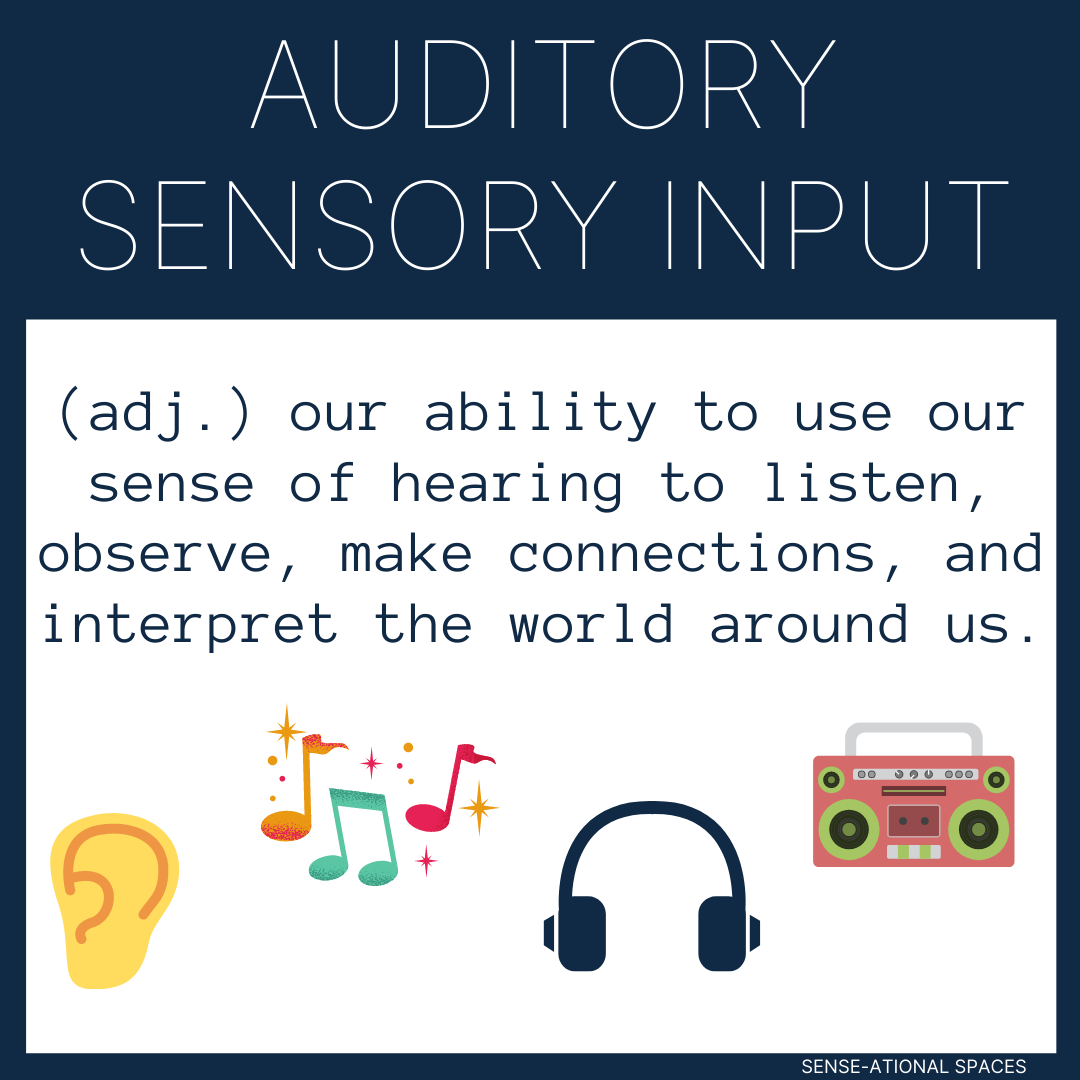 Auditory Sensory System — SENSE-ational Spaces