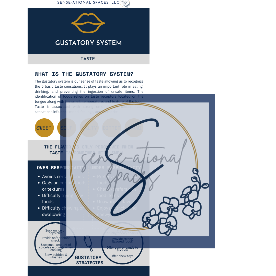 Gustatory Sensory System — SENSE-ational Spaces