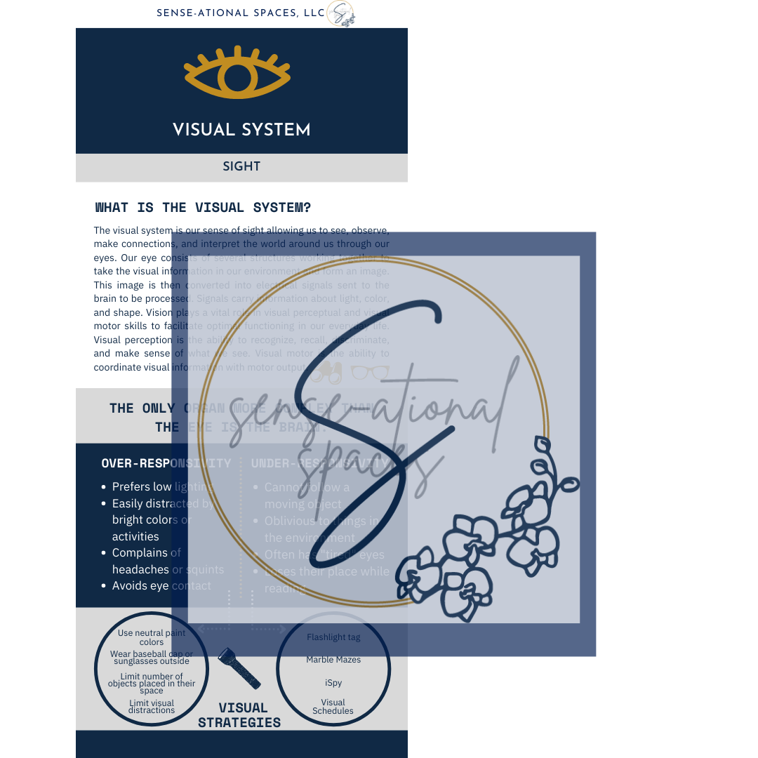 Visual Sensory System — SENSE-ational Spaces