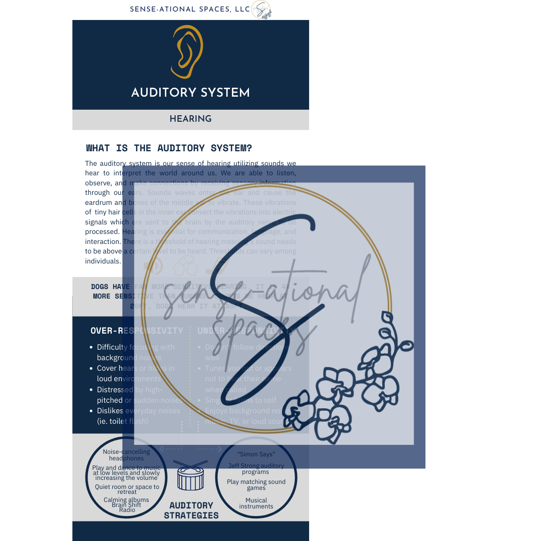 Auditory Sensory System — SENSE-ational Spaces