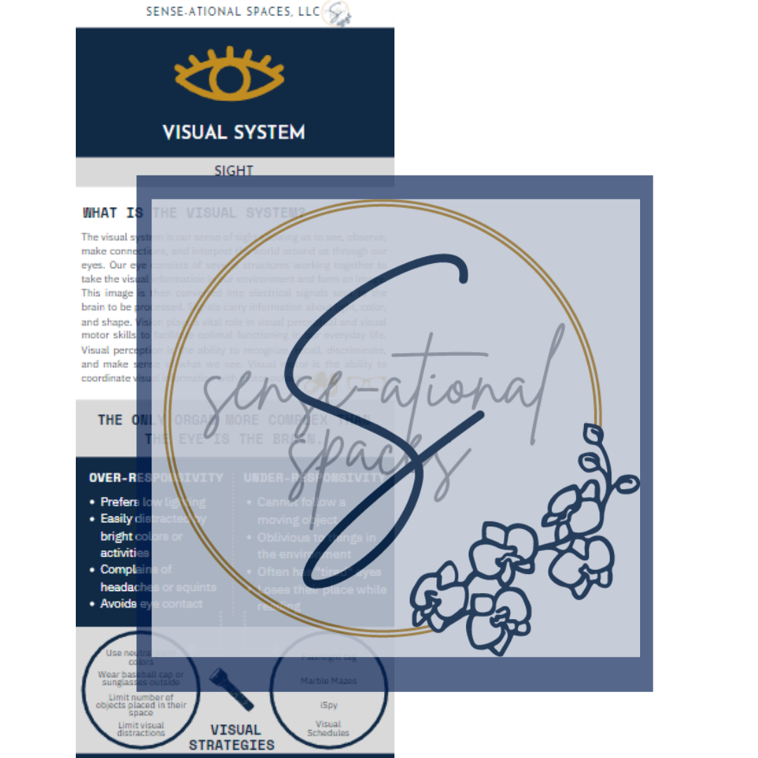 Visual Sensory System — SENSE-ational Spaces