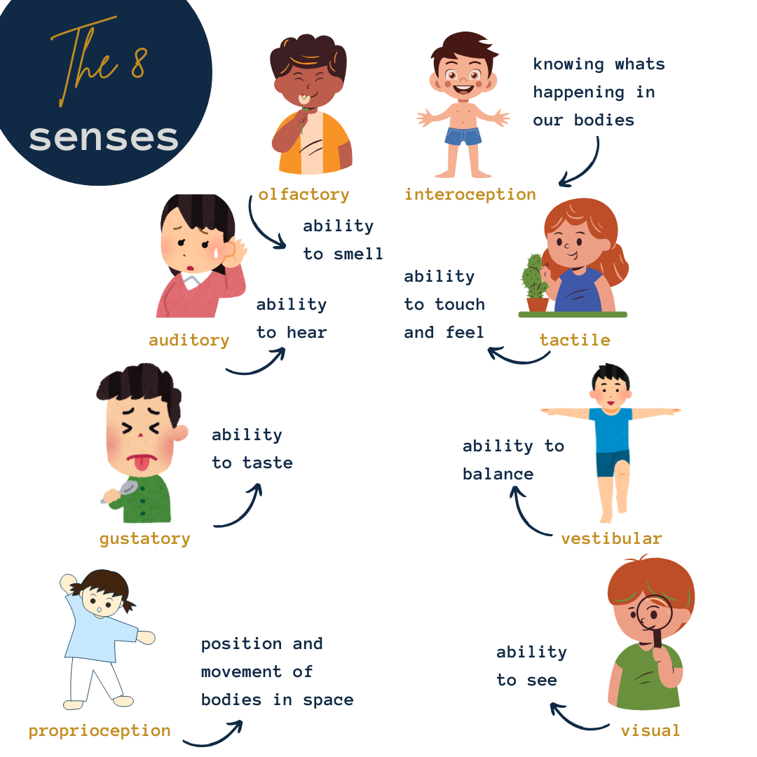 Senses in Season: How to Engage All 8 Senses with Winter Activities ...