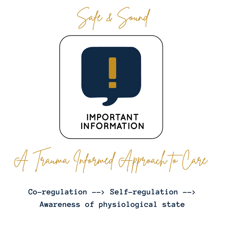 Safe & Sound: A Trauma-Informed Approach to Care — SENSE-ational Spaces