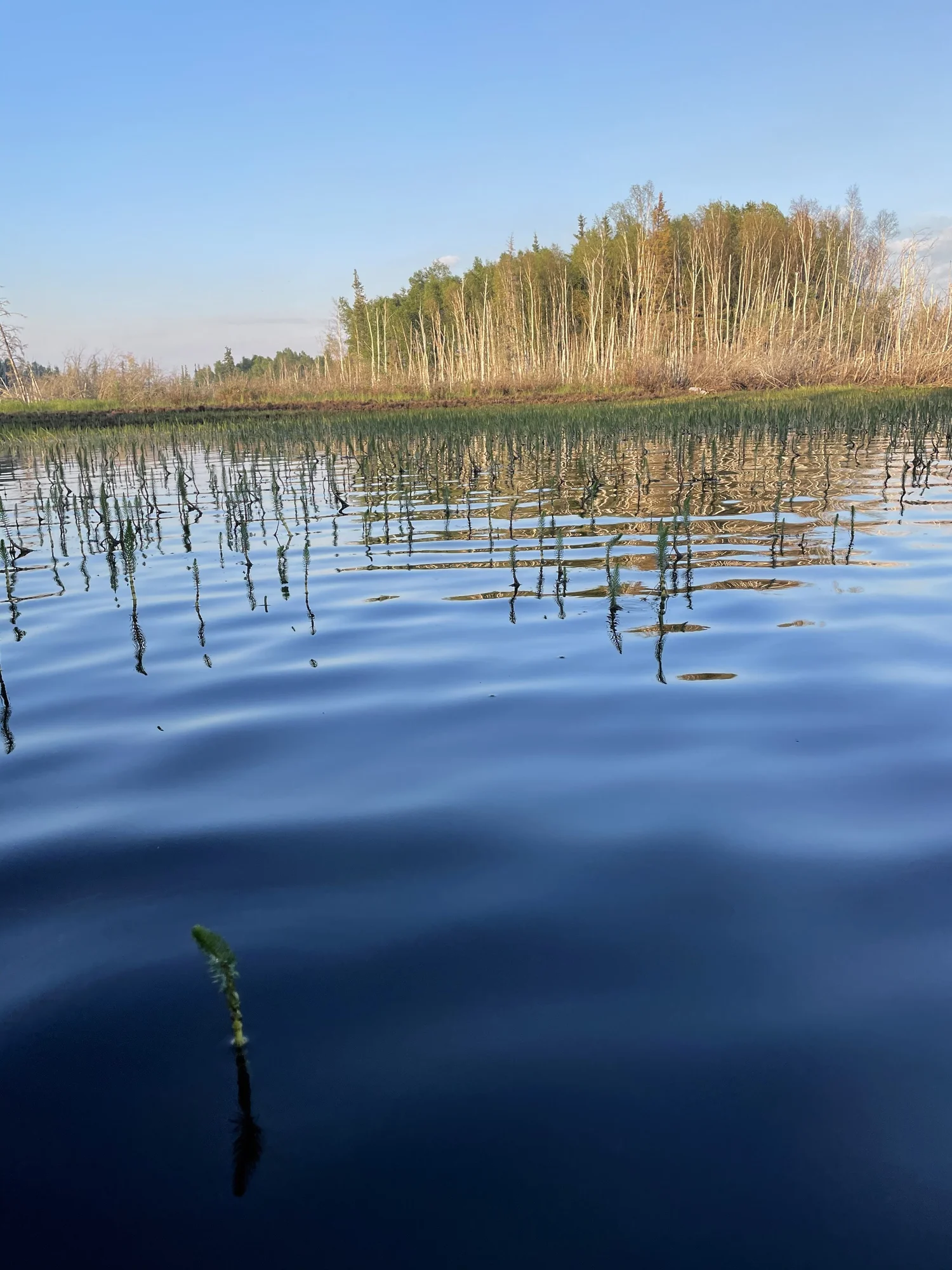 About Seth-De-Ya-Ah — Seth-De-Ya-Ah Corporation