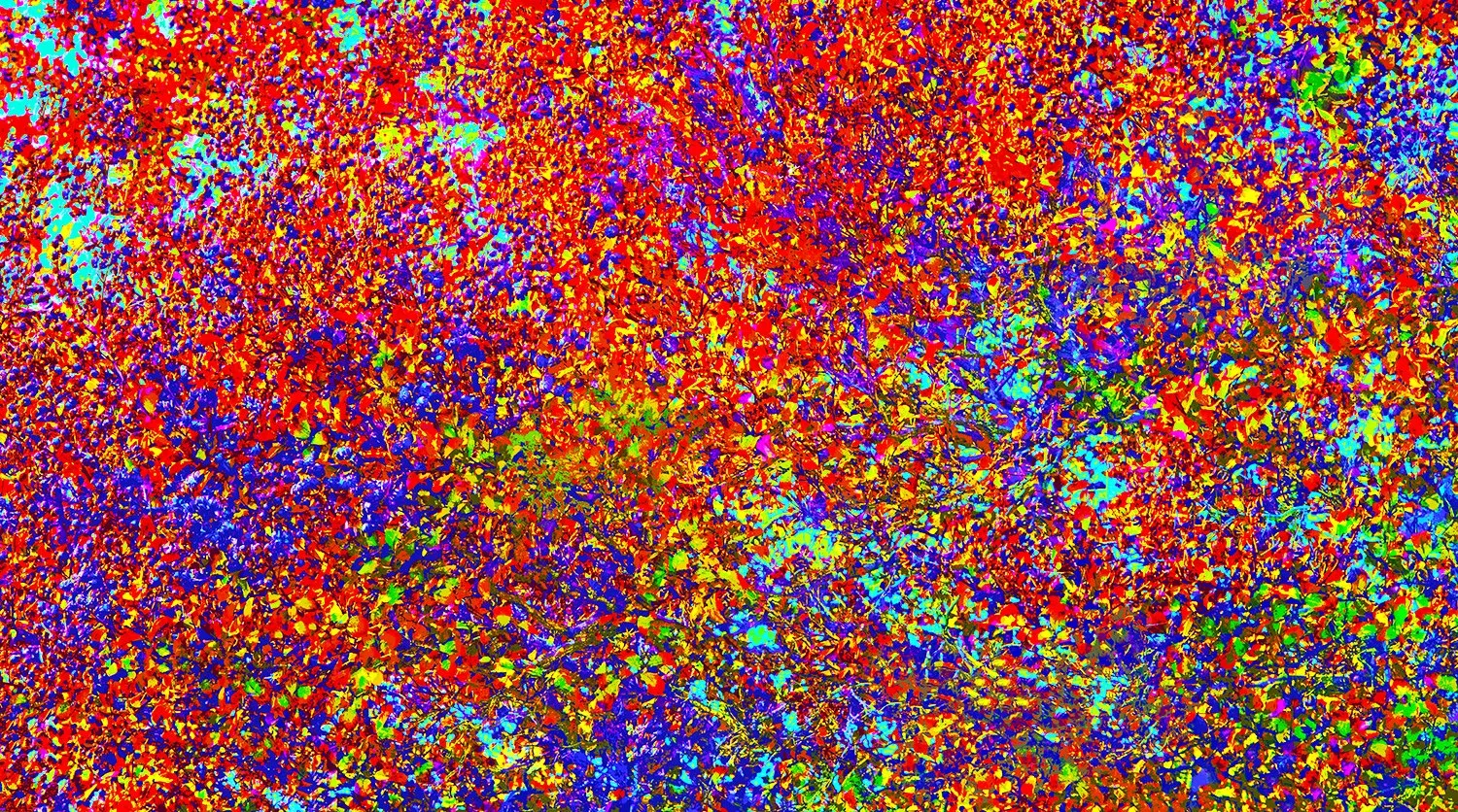 SUBLIMINAL PROCESSING — DAN MCGARRAH