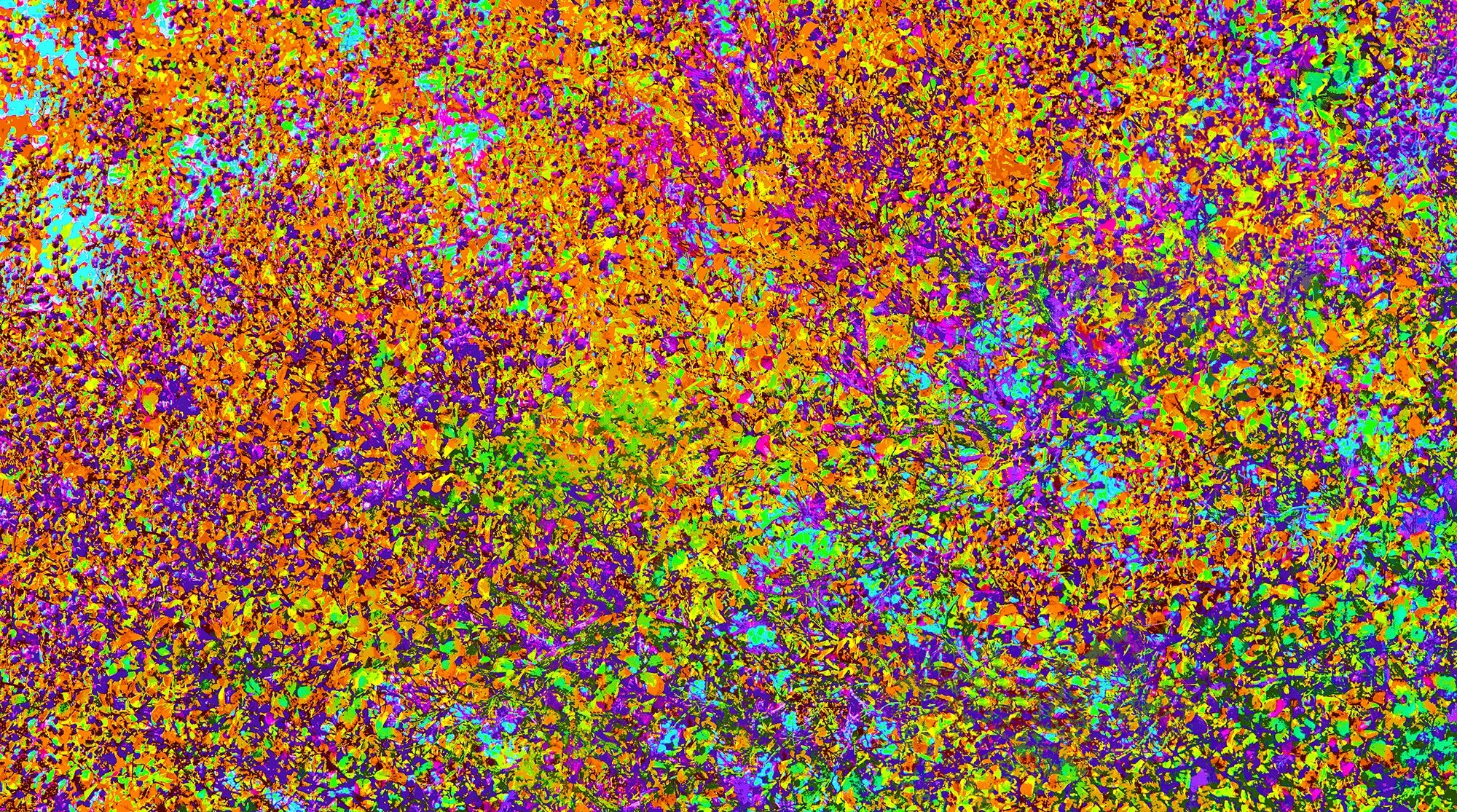 SUBLIMINAL PROCESSING — DAN MCGARRAH