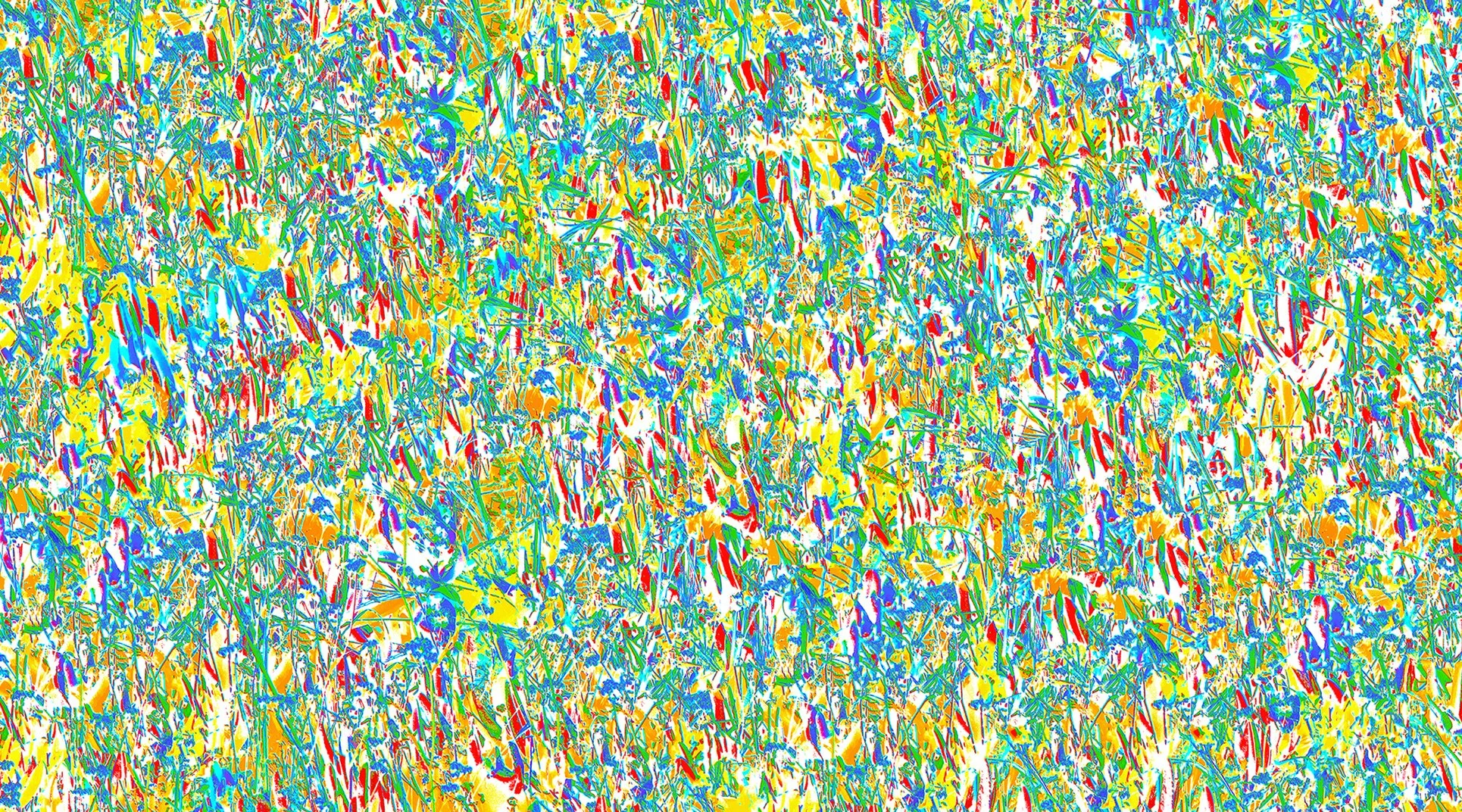 SUBLIMINAL PROCESSING — DAN MCGARRAH