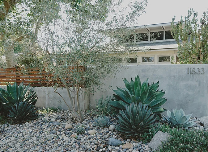 ECO LANDSCAPE — PROJECTS