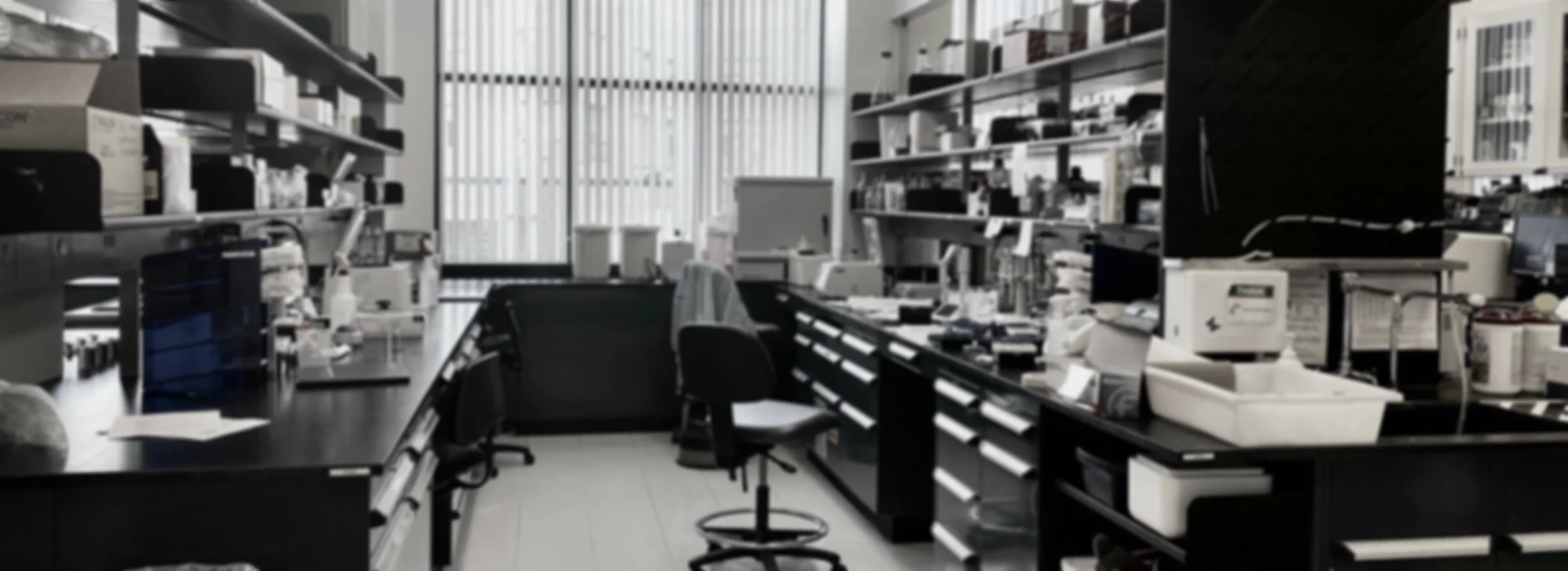 Gallery 3 — Gu Lab