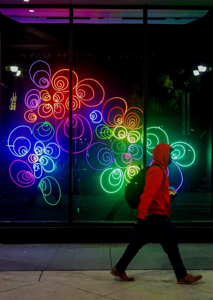 The Center for Emerging Visual Artists