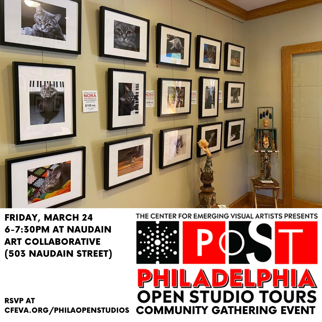 Upcoming Events — The Center for Emerging Visual Artists