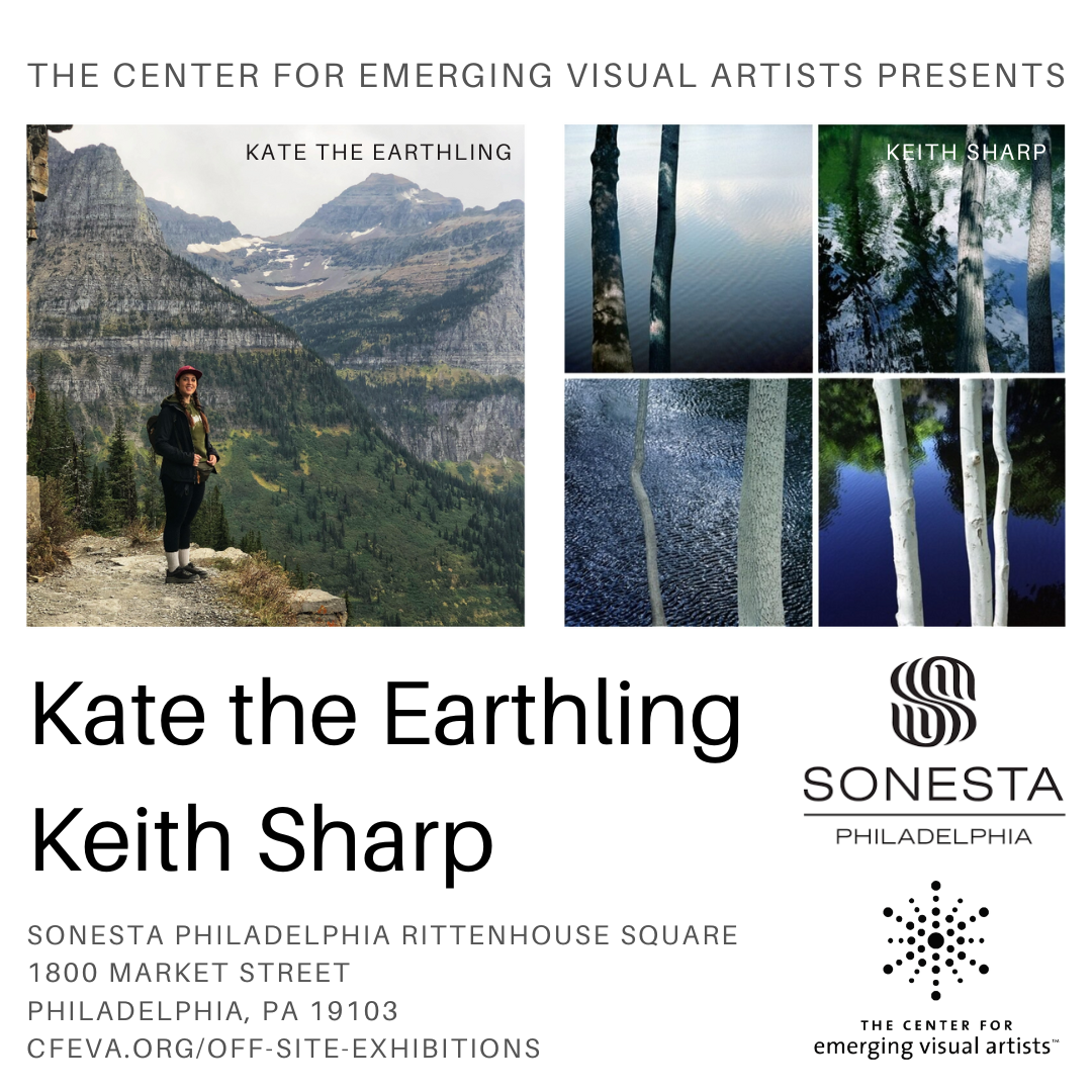 Upcoming Events — The Center for Emerging Visual Artists